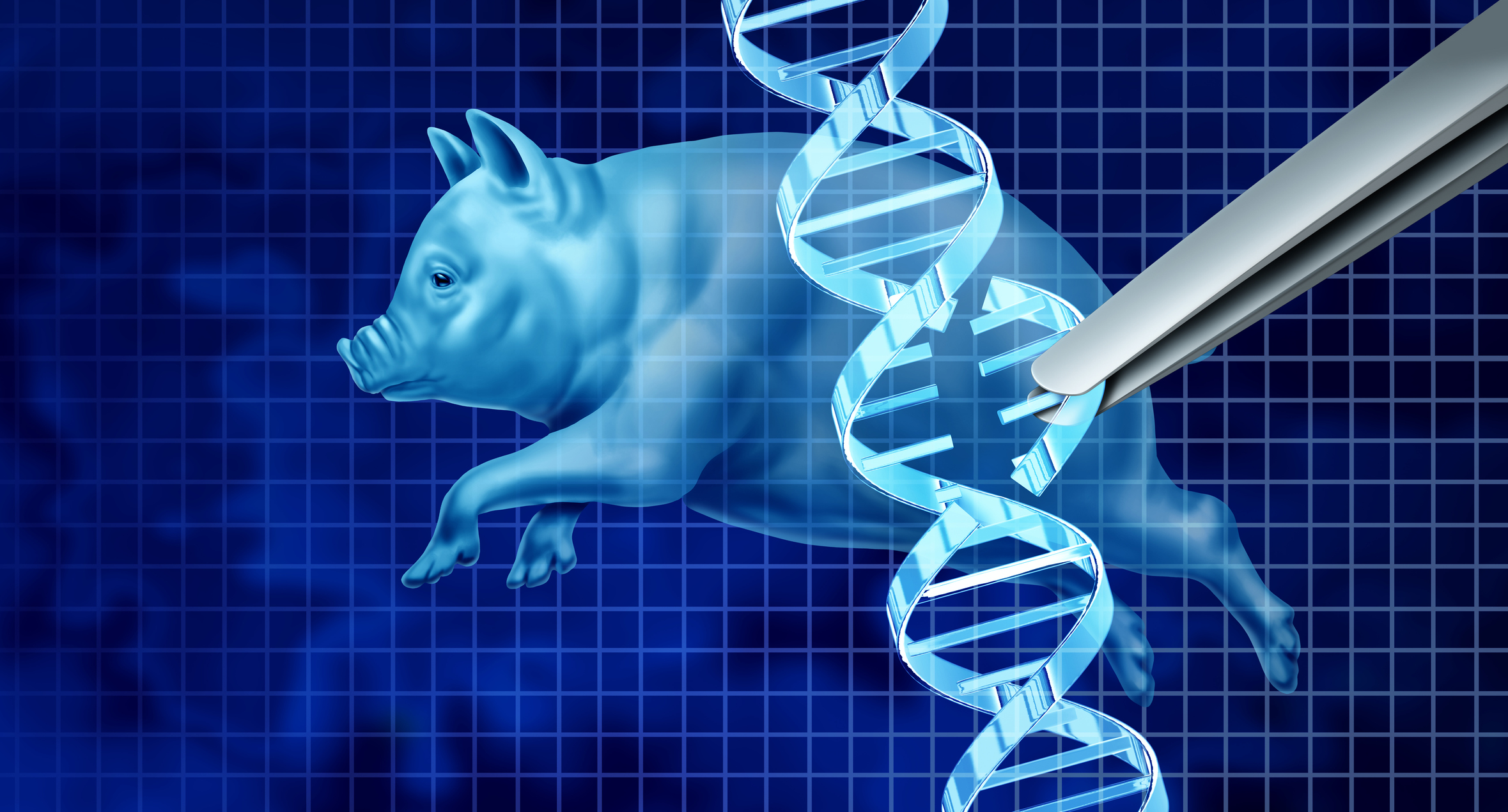USDA Approves GMO Soy With Inserted Pig Genes - The HighWire