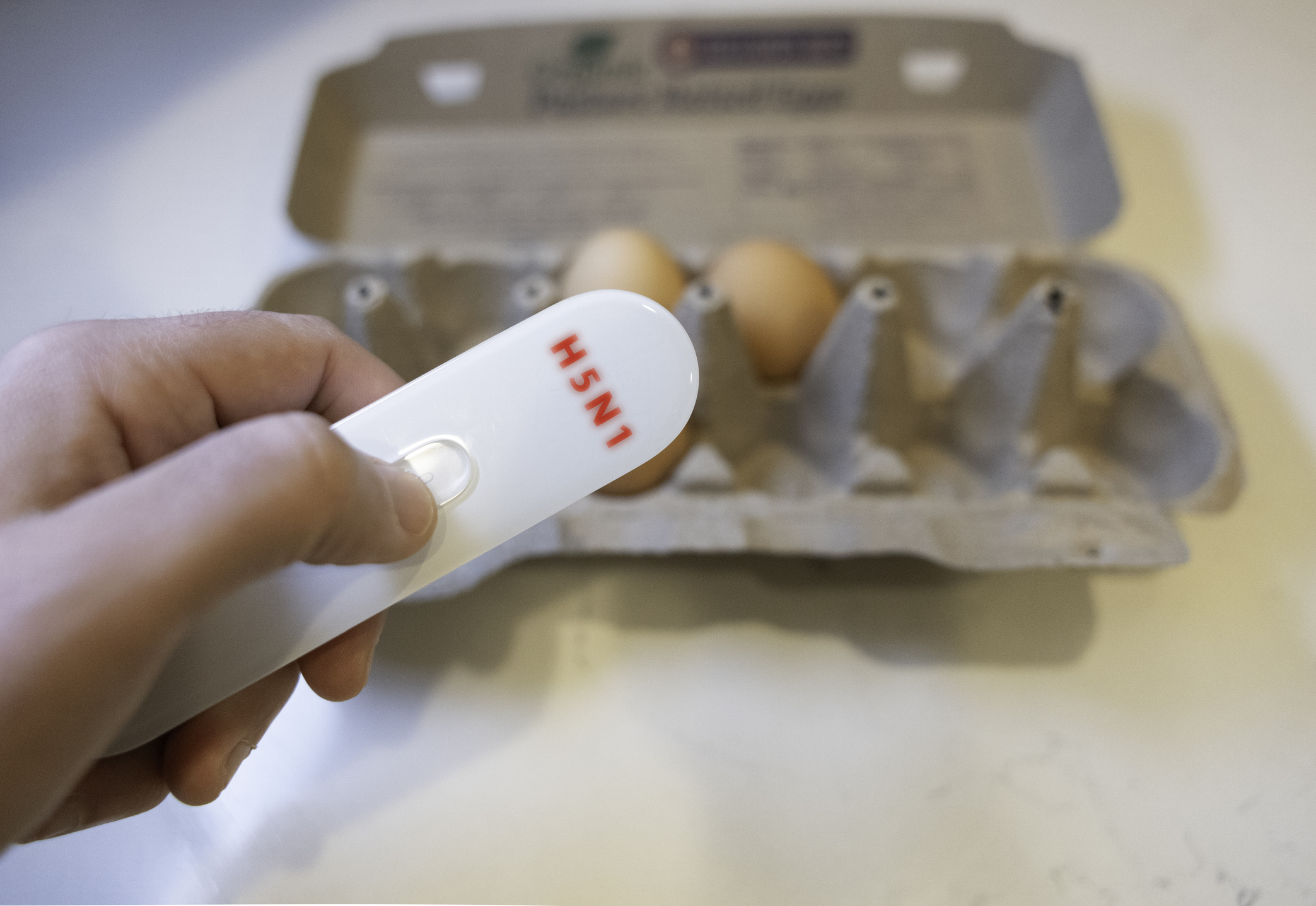 USDA Implements New Avian Flu Protocols to Prevent Mass Culling of ...