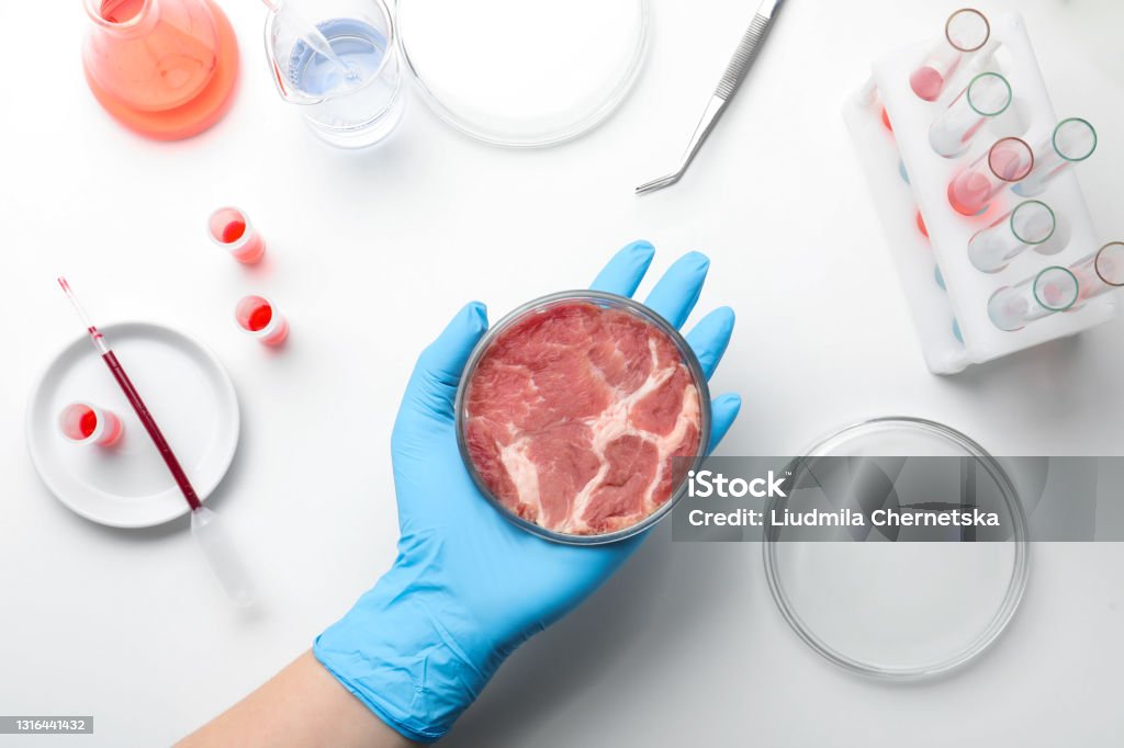 FDA Approves Lab-Grown Pork Without Long-Term GMO Growth Hormone ...